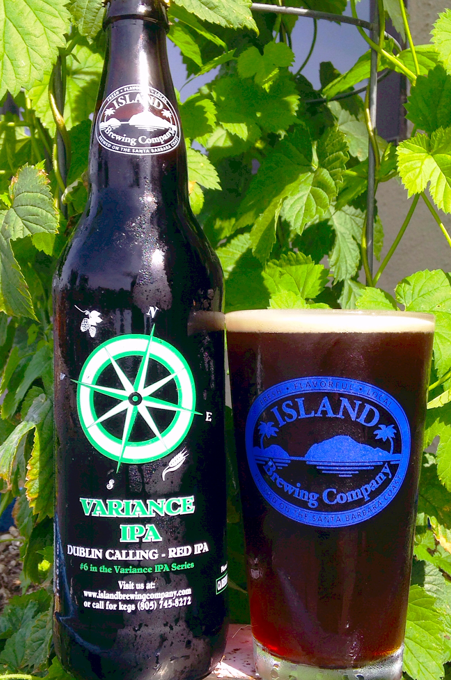 Dublin Calling, latest IPA in Variance Series from Island Brewing ...