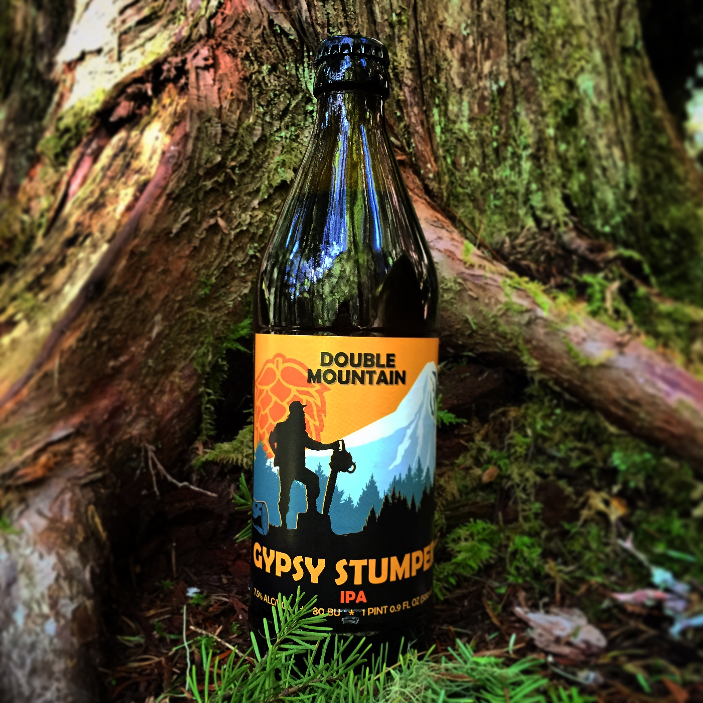 Double Mountain Bottles Gypsy Stumper IPA - CraftBeer.com