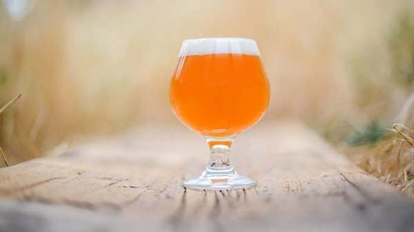 Citrus IPAs - CraftBeer.com