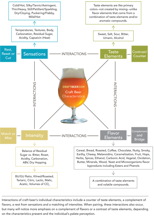 Unscrambling Your Senses: Interpreting Craft Beer and Food Pairings