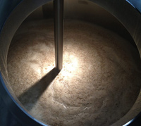 Epic Brews in Denver