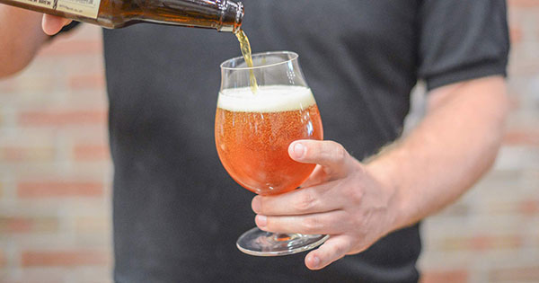 Importance of Conditioning During the Brewing Process