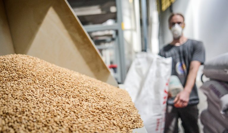 Beer Malt Science: 2017 is a Year of Breakthroughs